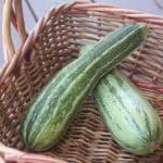 Zucchini Calzone - Homespun Seasonal Living