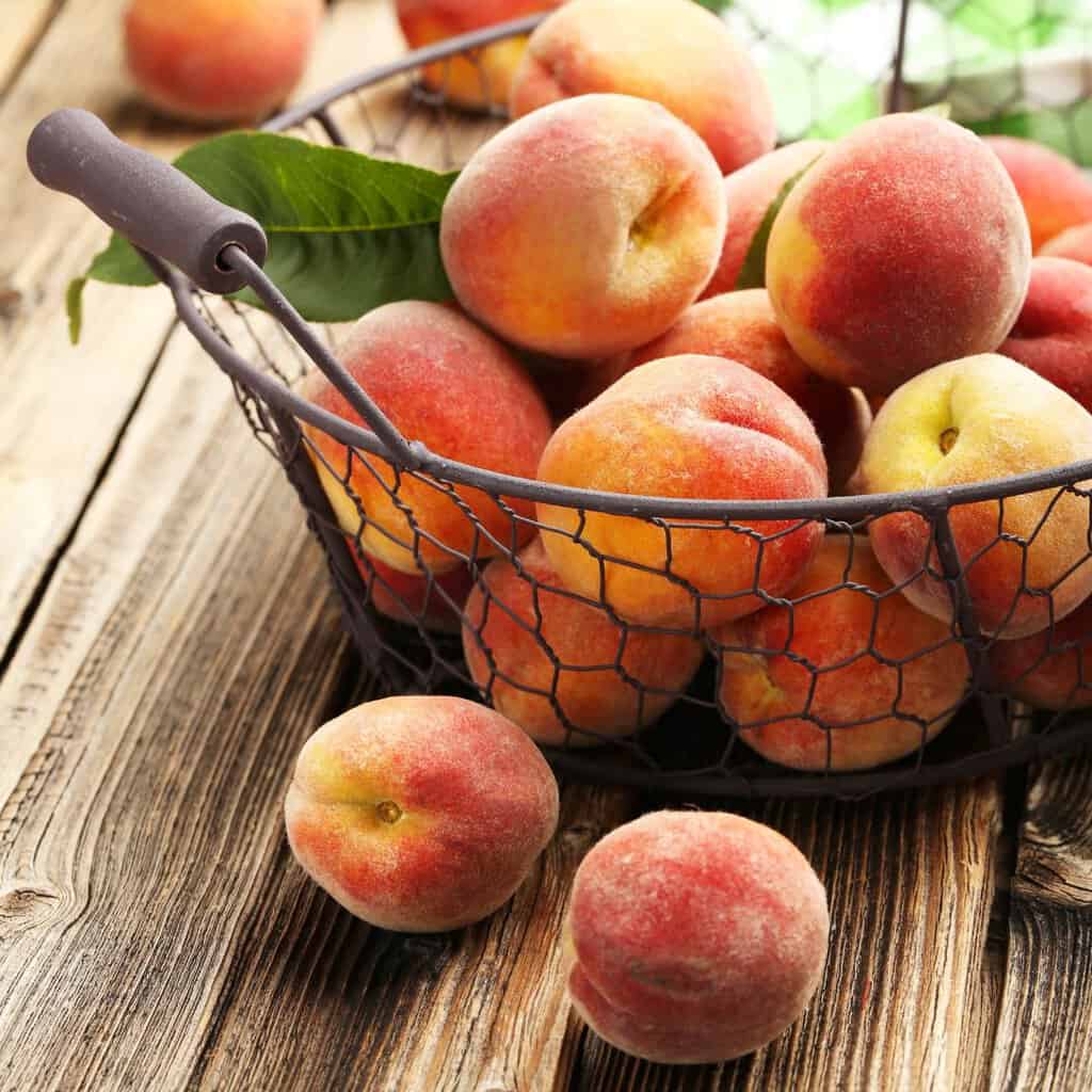 45 Recipes that Use Fresh Peaches - Homespun Seasonal Living