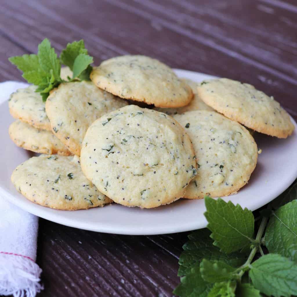 Lemon Balm Recipes - Homespun Seasonal Living