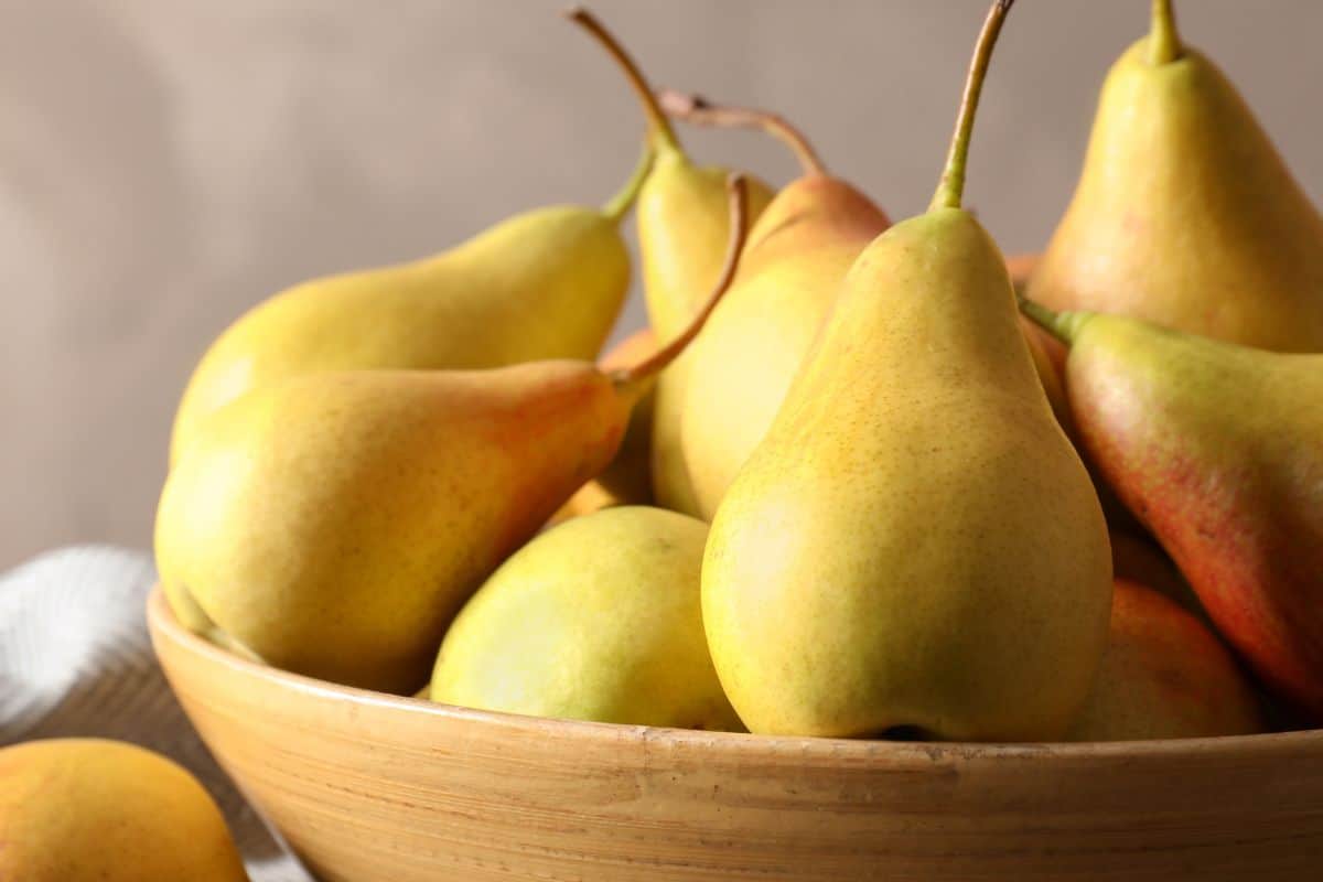 10+ Ways to Preserve the Pear Harvest - Homespun Seasonal Living