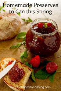 Homemade Preserves to Can this Spring | Homespun Seasonal Living