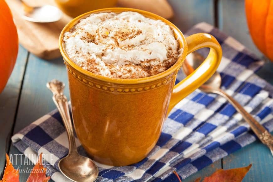 35+ Warm Drinks Perfect for Chilly Weather - Homespun Seasonal Living