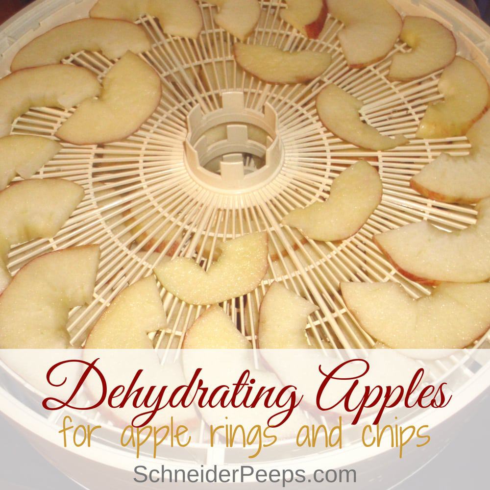 Ways to Preserve Apples