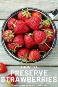 5 Ways to Preserve Strawberries