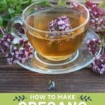 How to Make Oregano Tea | Homespun Seasonal Living