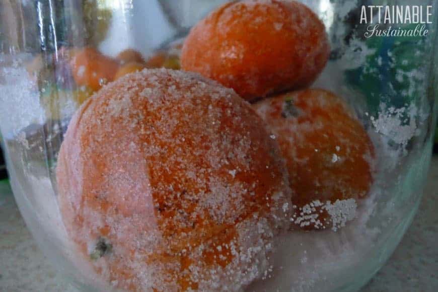 Ways to Preserve Citrus - Homespun Seasonal Living