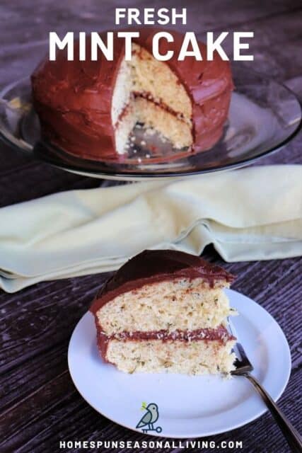 Fresh Mint Cake with Dark Chocolate Mint Frosting - Homespun Seasonal ...