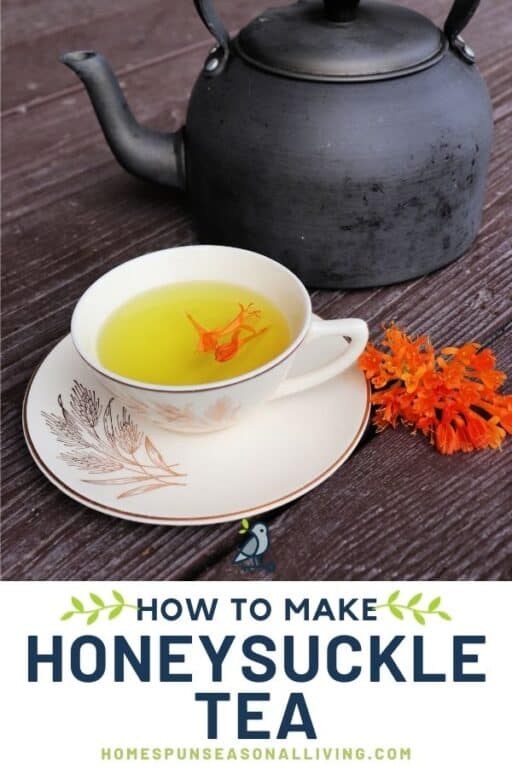 Honeysuckle Tea - Homespun Seasonal Living