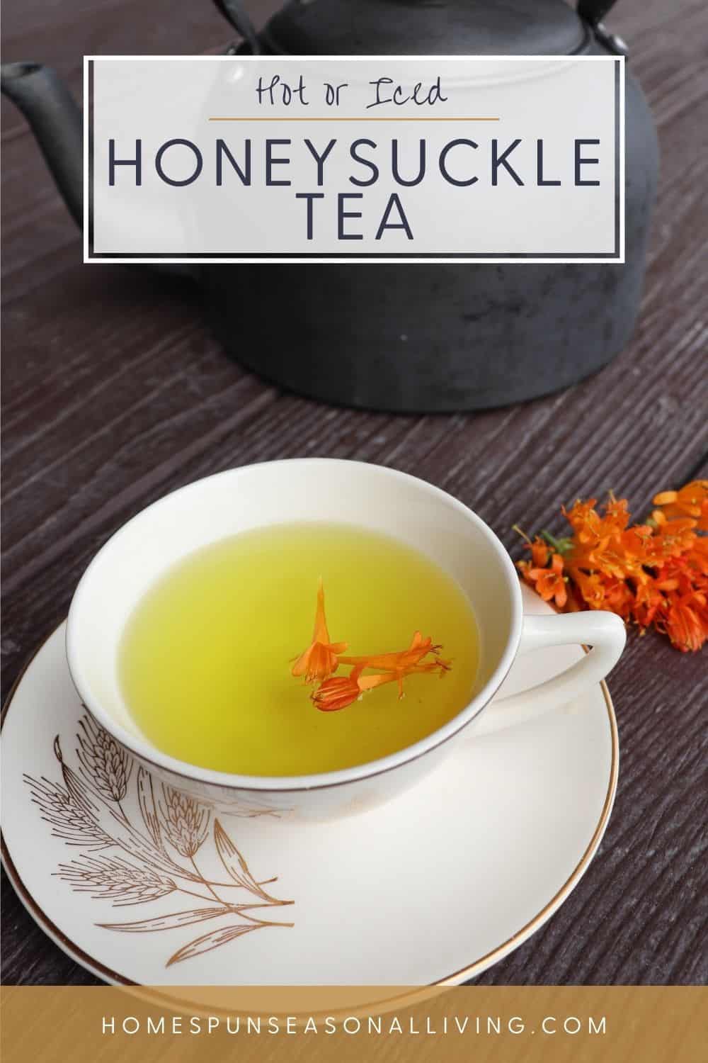 How to Make Honeysuckle Tea (Fresh and Dried) - Homespun Seasonal Living
