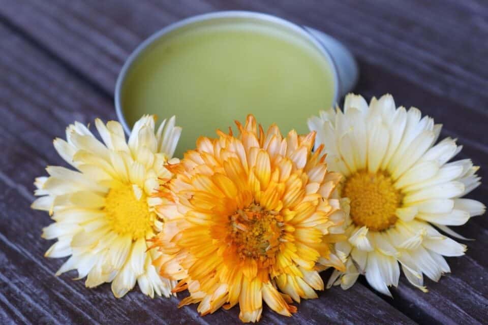 Calendula Salve - Homespun Seasonal Living