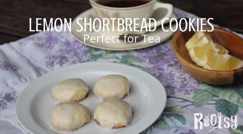 10+ Homemade Spring Cookie Recipes - Homespun Seasonal Living