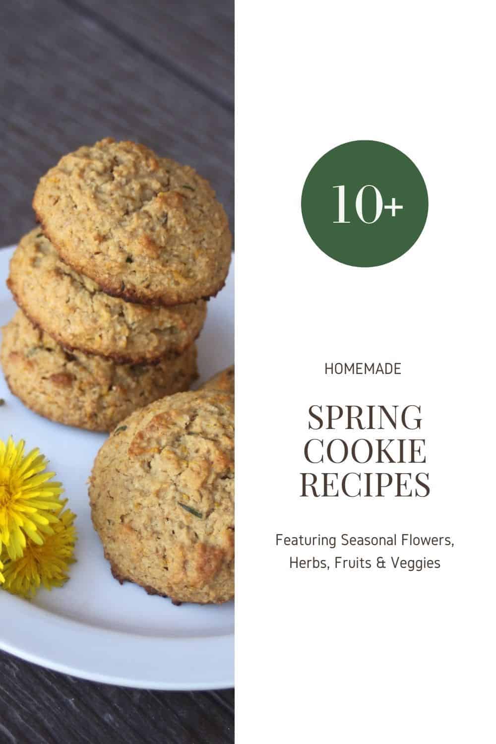 10+ Homemade Spring Cookie Recipes - Homespun Seasonal Living