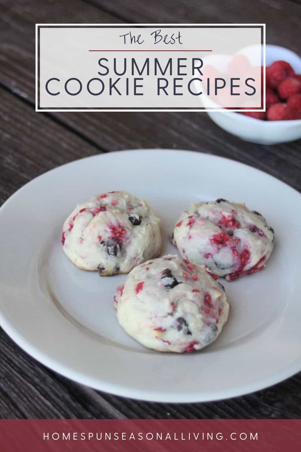 15+ Summer Cookie Recipes - Homespun Seasonal Living