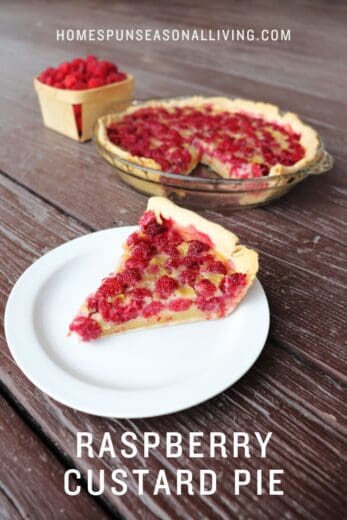 Easy, Homemade Raspberry Custard Pie - Homespun Seasonal Living