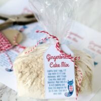 40+ Homemade Food Gifts to Ship Edible Love - Homespun Seasonal Living