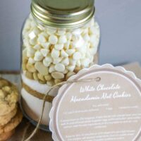 40+ Homemade Food Gifts to Ship Edible Love - Homespun Seasonal Living