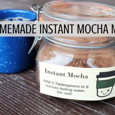 40+ Homemade Food Gifts to Ship Edible Love - Homespun Seasonal Living