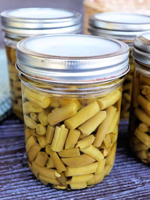 10+ Easy Ways to Cook with Canned Green Beans Story - Homespun Seasonal ...