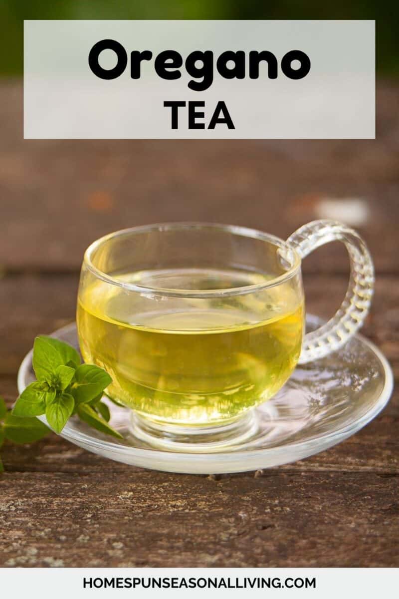 How to Make Amazing Homemade Oregano Tea - Homespun Seasonal Living