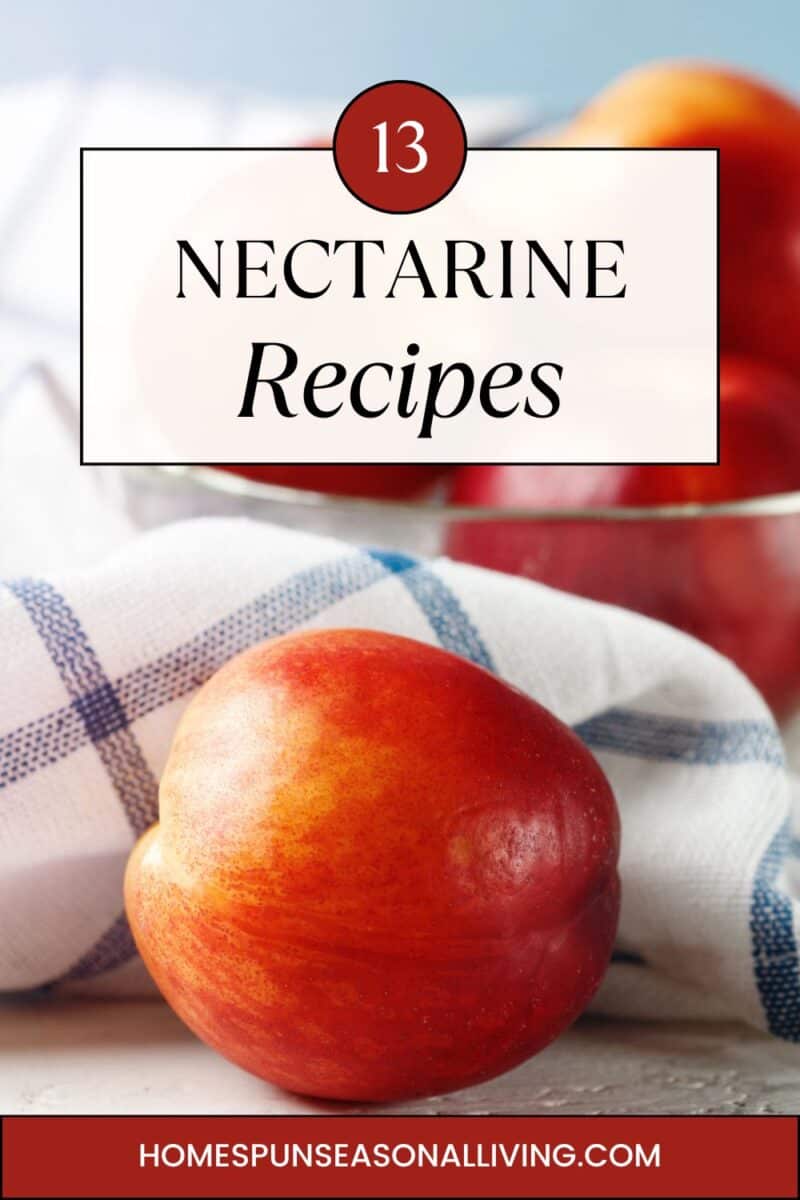 13 Tasty Nectarine Recipes for Summer - Homespun Seasonal Living