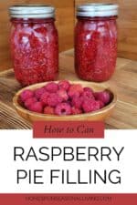 How to Can Raspberry Pie Filling - Homespun Seasonal Living
