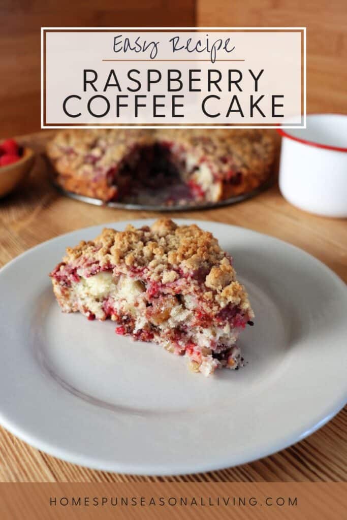 Raspberry Coffee Cake - Homespun Seasonal Living